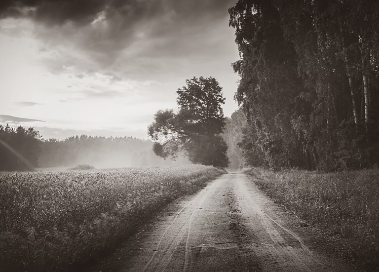 Riding Shotgun: Tacoma man had front-row seat on first cross-country ...