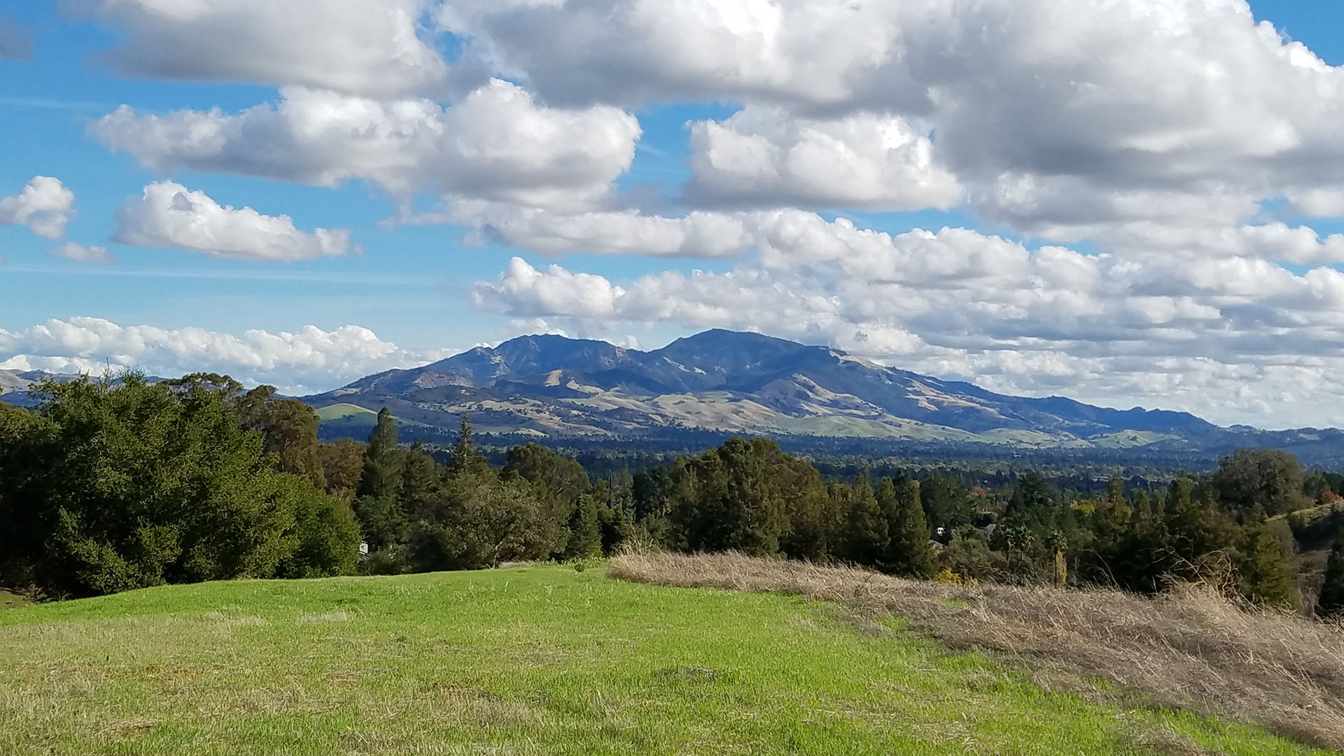 Central Contra Costa