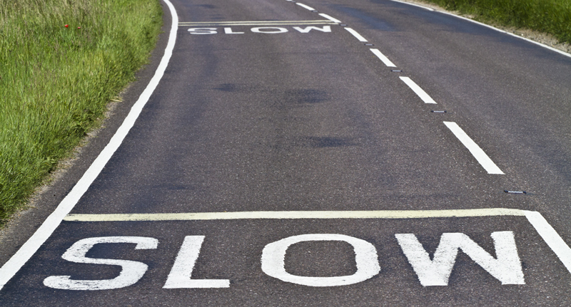 slow-web - Brian Bogs