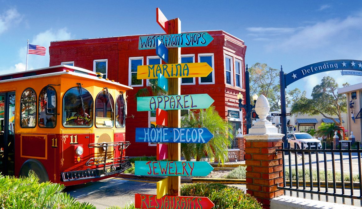 Dunedin | Mercer Real Estate