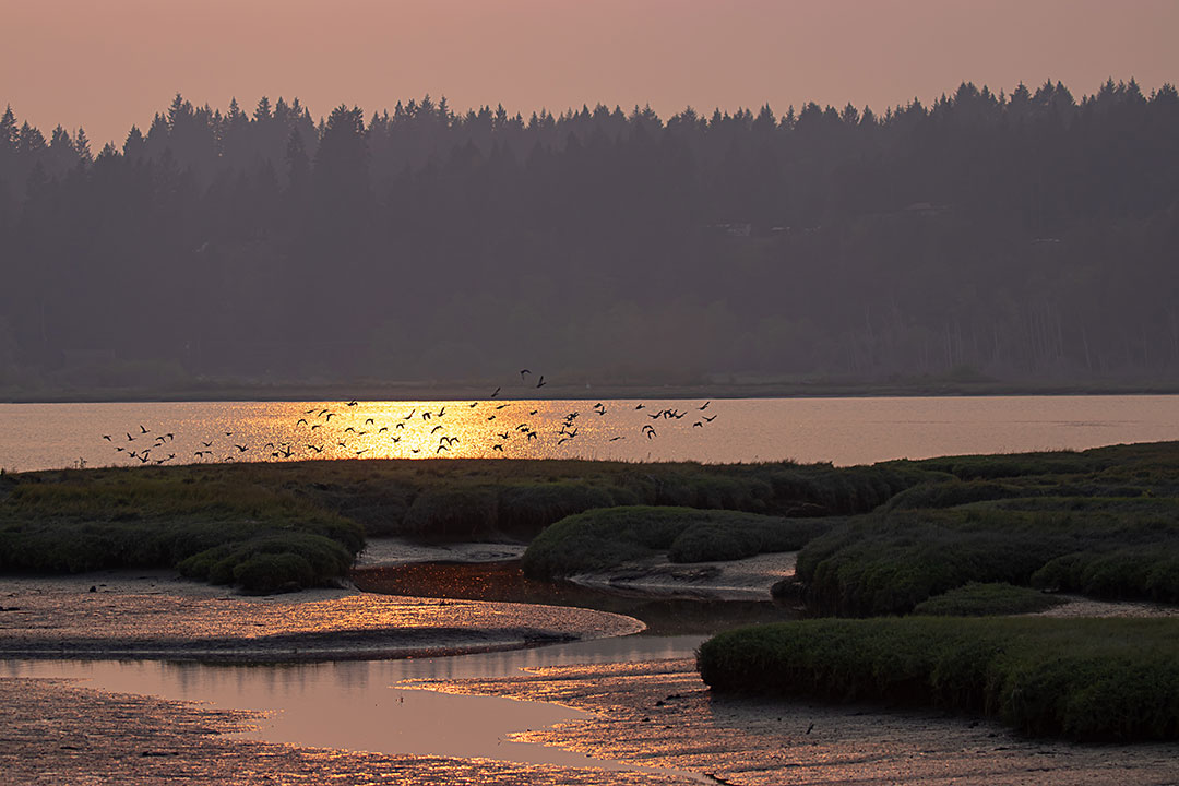 Belfair - Dale Walters Real Estate