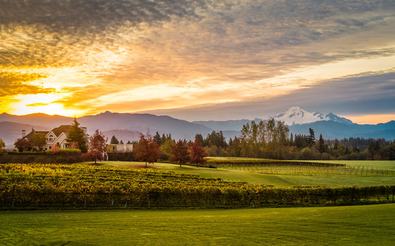 Nooksack - Muljat Group North