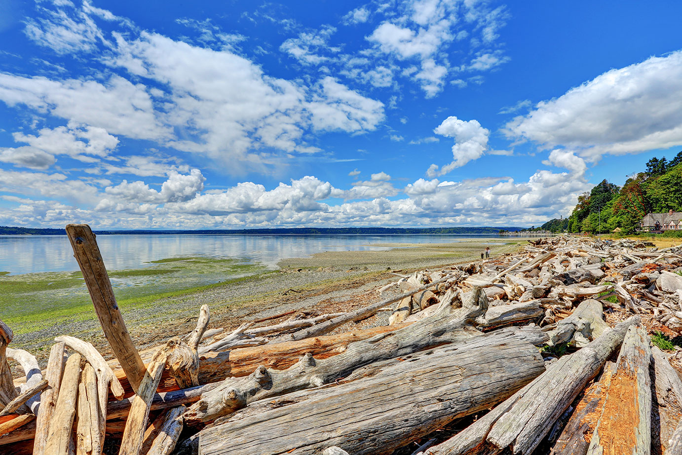 Shoreline - Tailored Homes Northwest