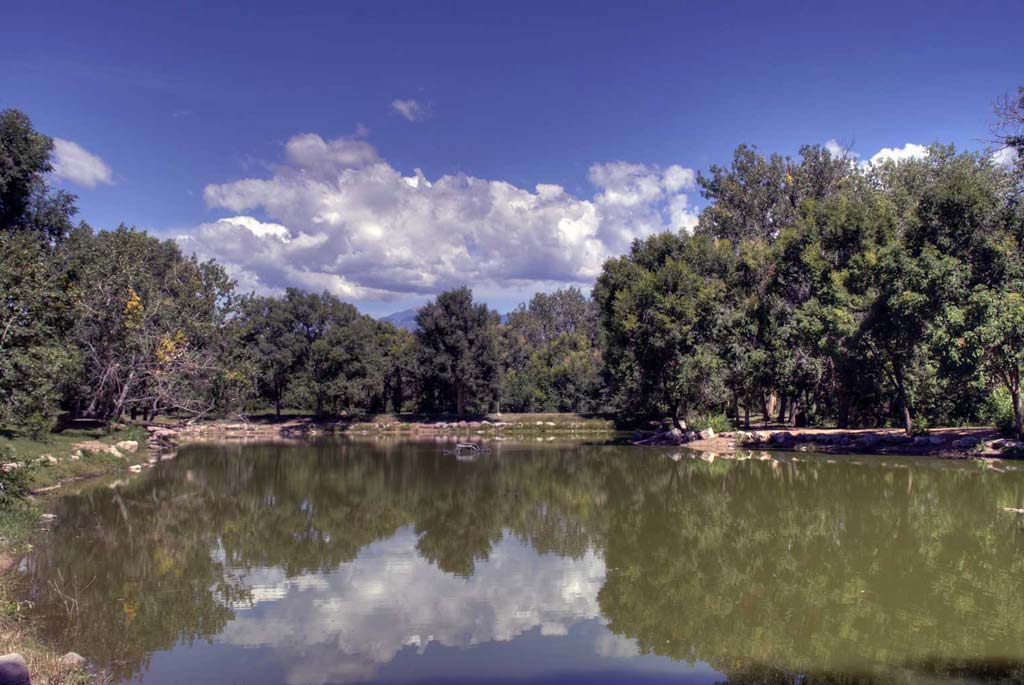 Security & Widefield in Fountain Valley | Colorado Springs Real Estate