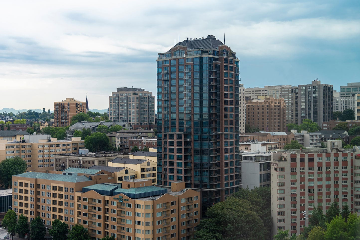 Capitol Hill-First Hill - Lin Shih Real Estate