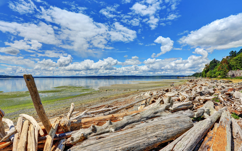 Shoreline - Kate's Real Estate