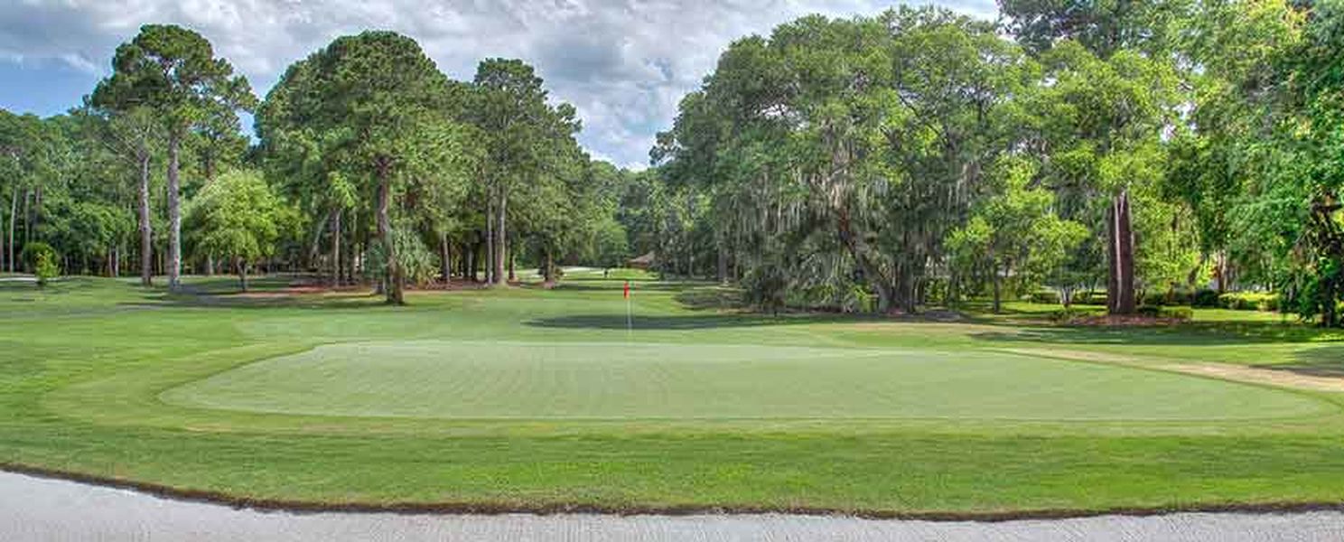 Dolphin Head Golf Course Hilton Head Island | LowcountryLinks