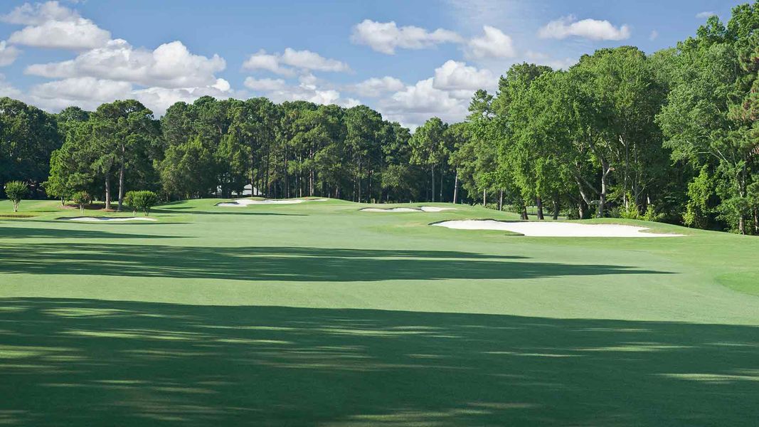 Dolphin Head Golf Course Hilton Head Island | LowcountryLinks