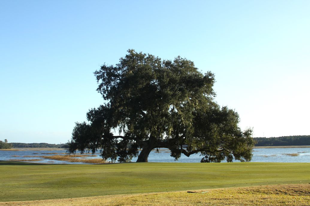 Dataw Island Club Golf Courses in Beaufort | Lowcountry Links