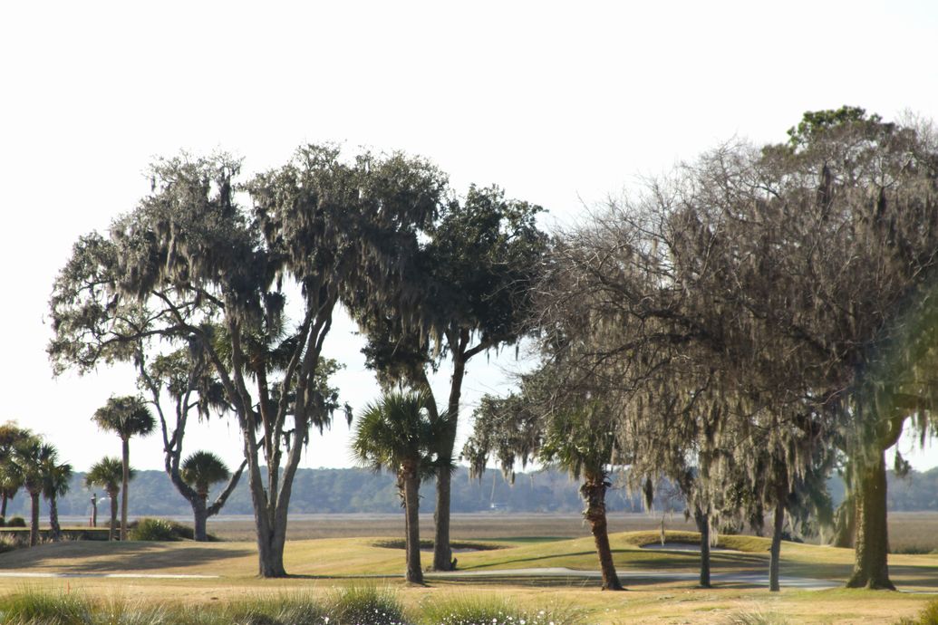 Dataw Island Club Golf Courses in Beaufort | Lowcountry Links