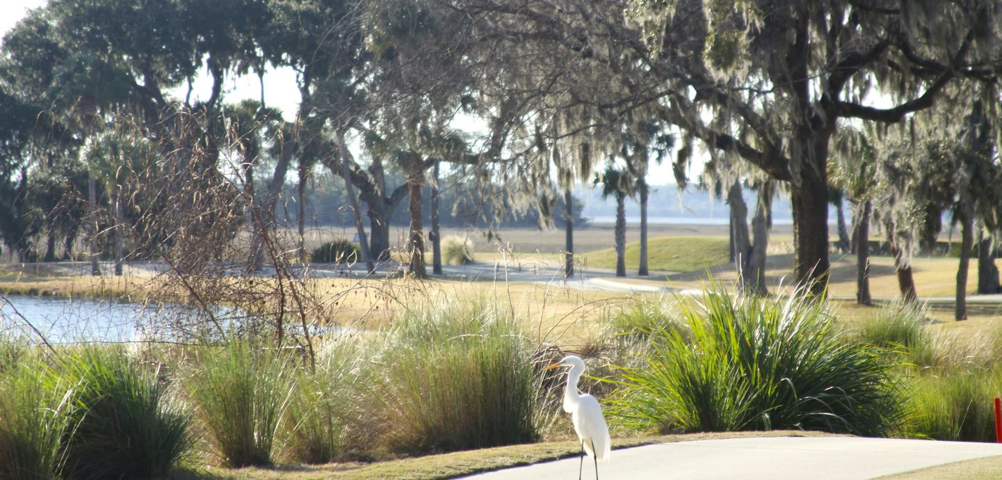 Dataw Island Club Golf Courses in Beaufort | Lowcountry Links