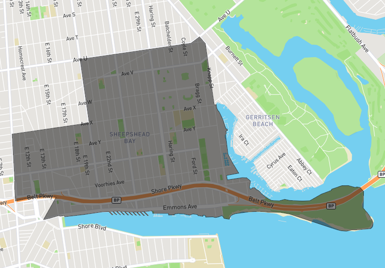 Home - The Stellar Agent - Home Sales in Brooklyn, NY