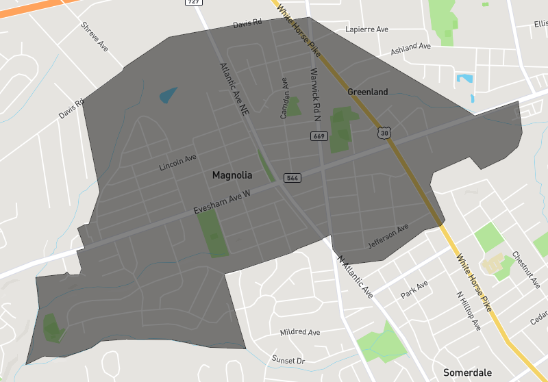 Magnolia - Michaela Hartery