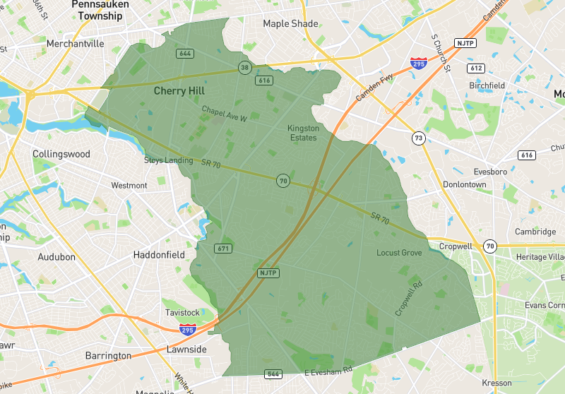 Cherry Hill - Michaela Hartery