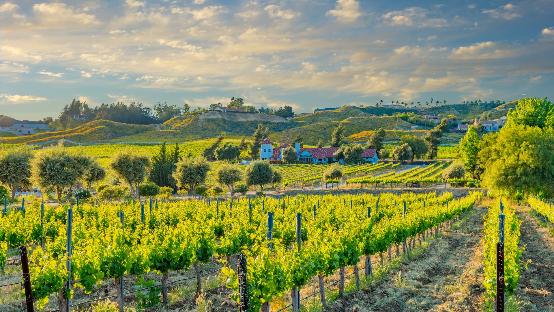 Vail Ranch - Melissa Grasso