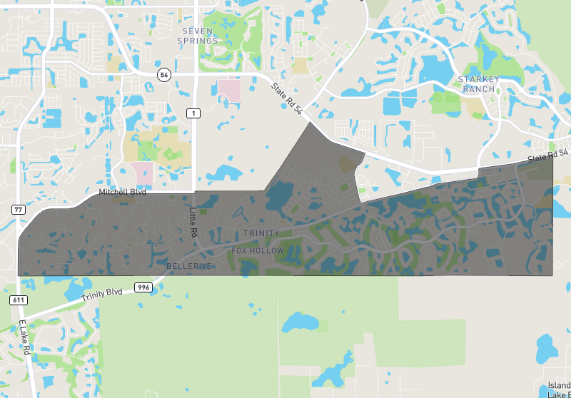 Trinity - Virginia Werneken Realtor