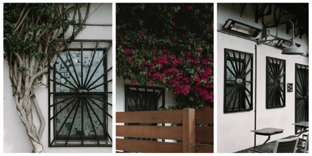 Vine - The Whipple Group